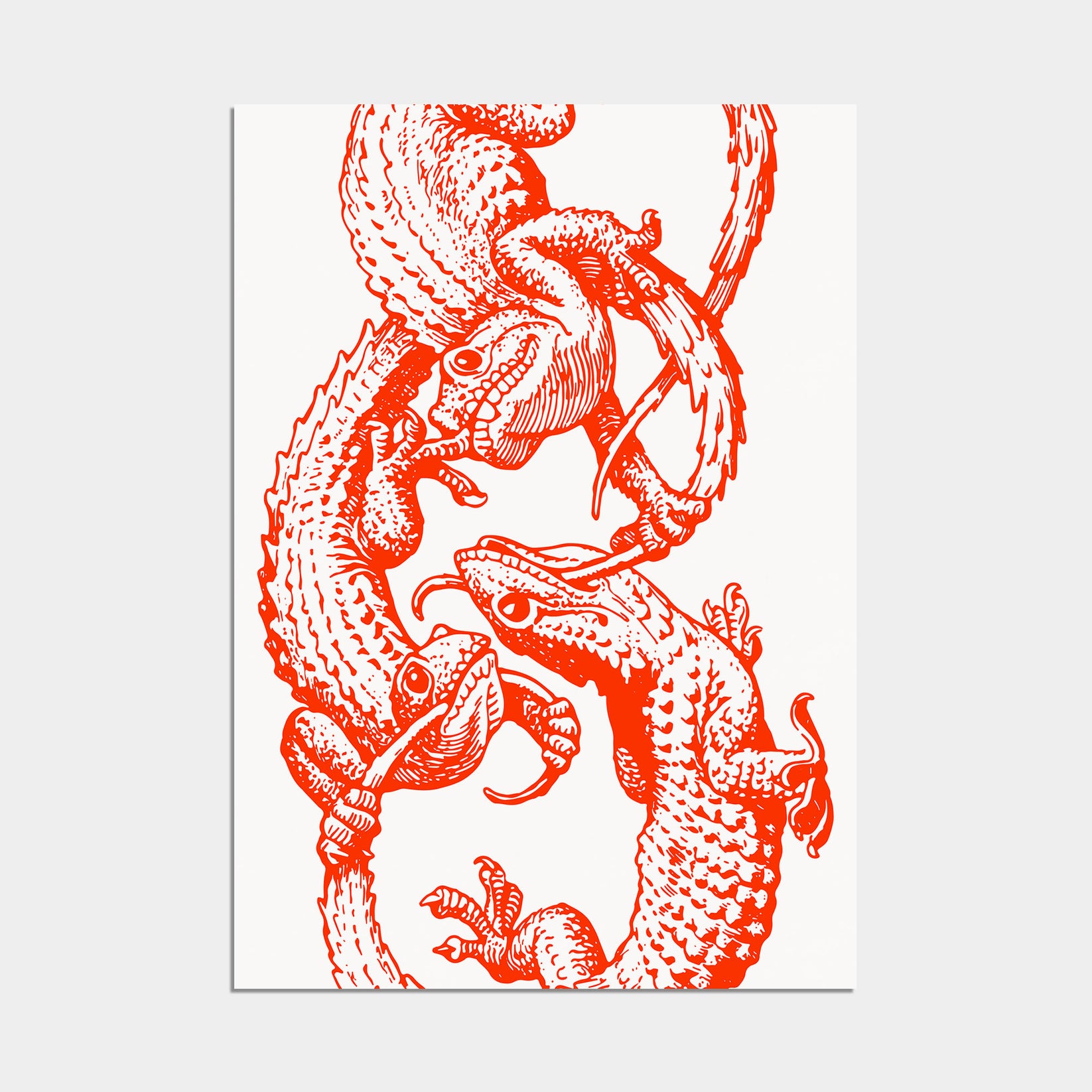 Gecko Ouroboros Poster red – Printoyou